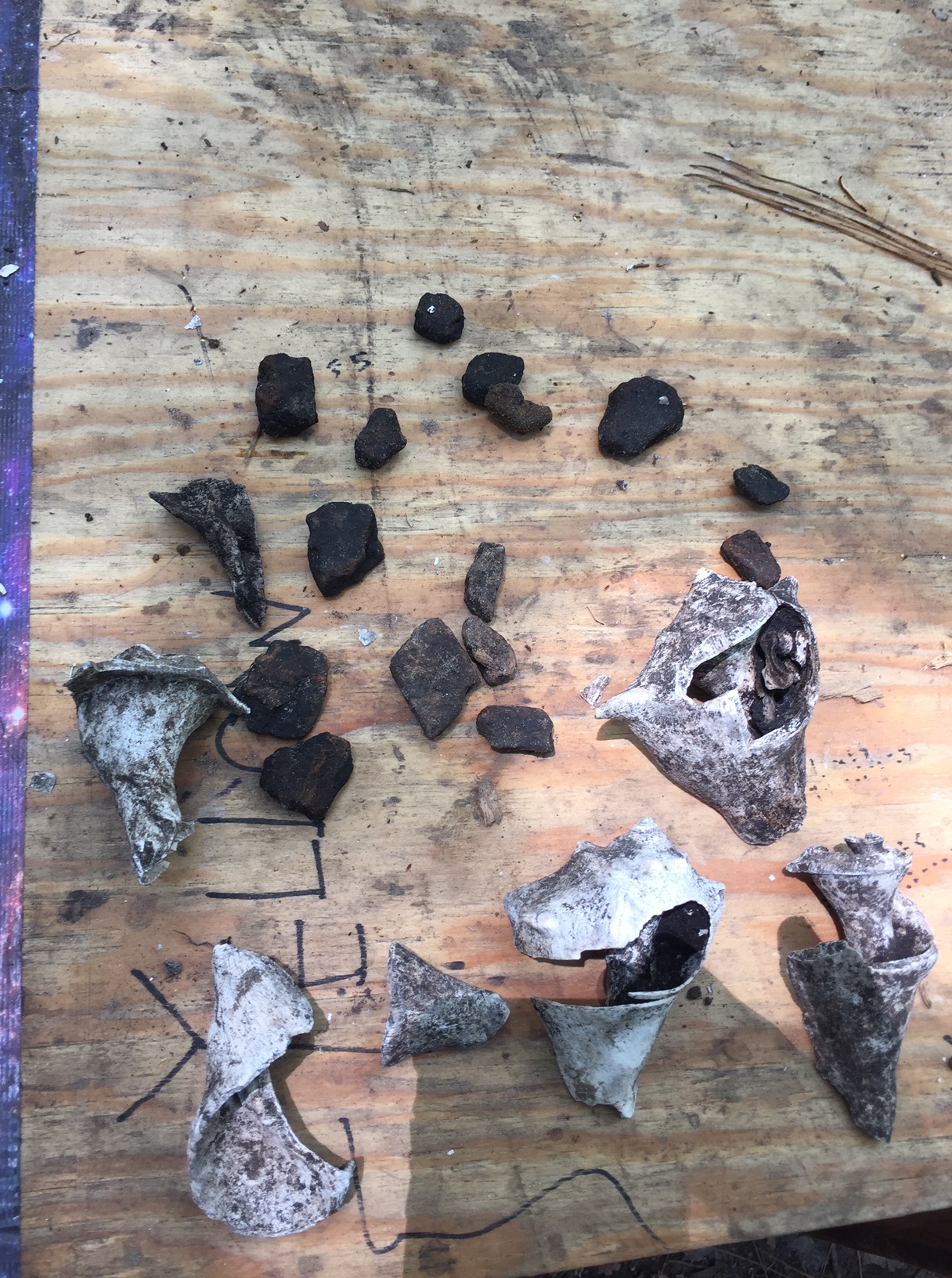 Site Introduction: The Shell Rings of Hilton Head Island ...