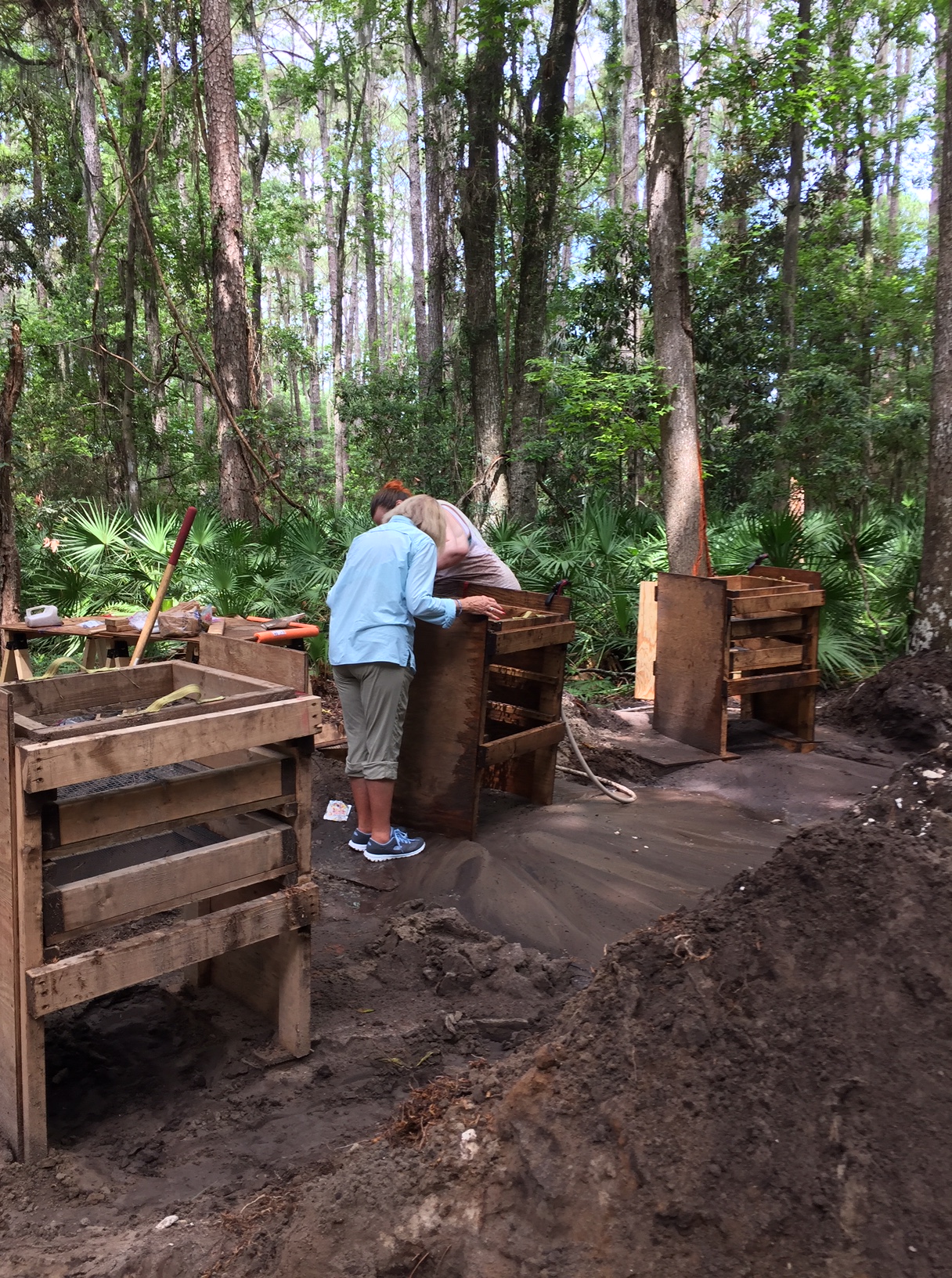 Site Introduction: The Shell Rings of Hilton Head Island ...