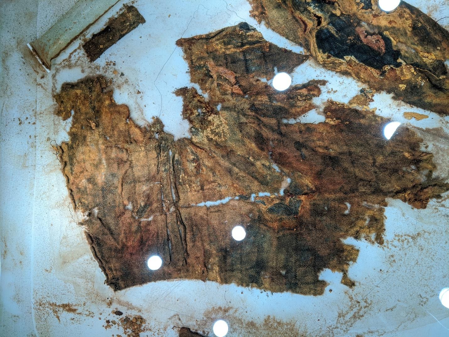 Behind the Scenes: Warren Lasch Conservation Center on Excavating Block ...